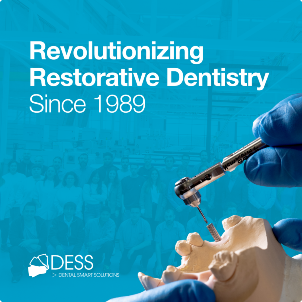 DESS USA Case Study: Brandastic's Digital Marketing Success